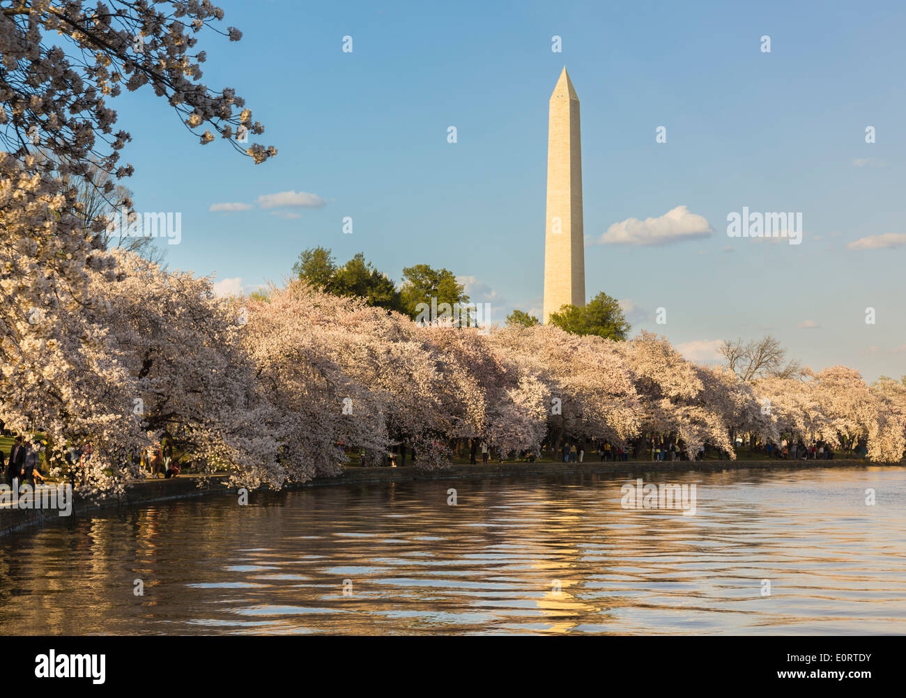 Washington dc festival hi-res stock photography and images - Alamy