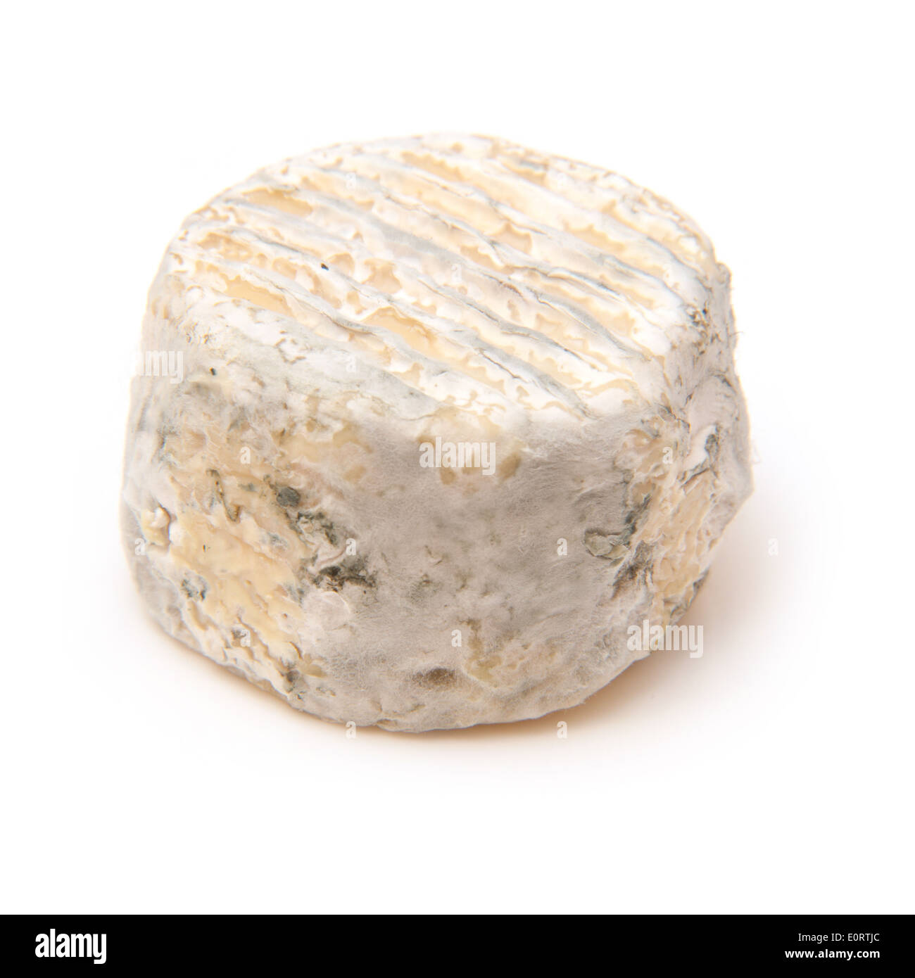 French goats cheese "crottin de chavignol" isolated on a white studio ...