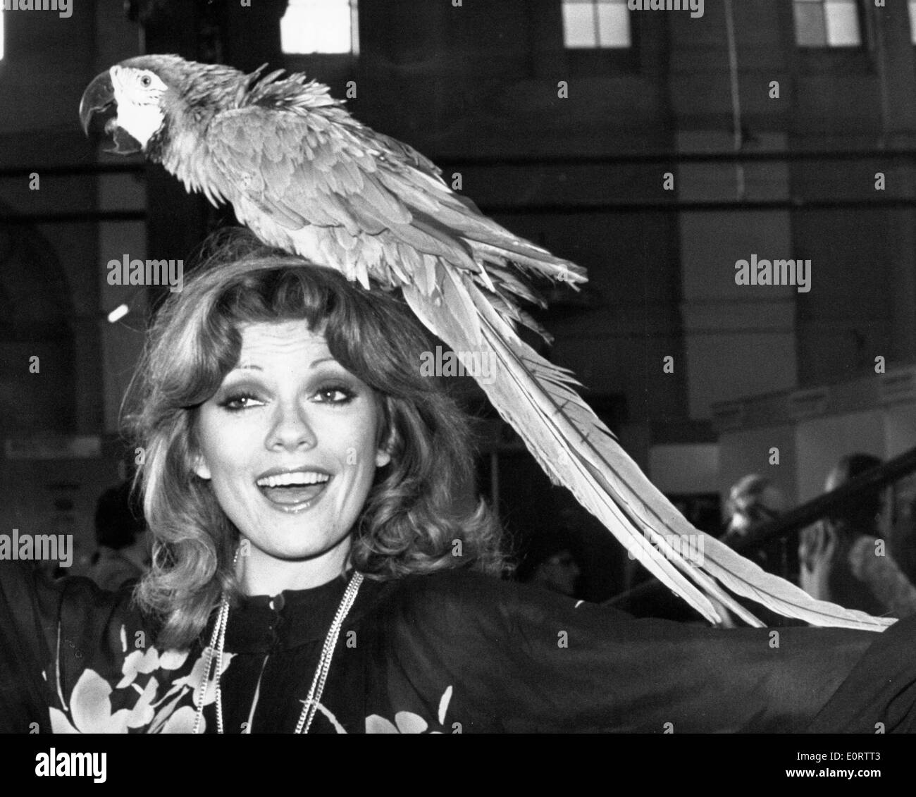 Trudi van doorn hi-res stock photography and images - Alamy