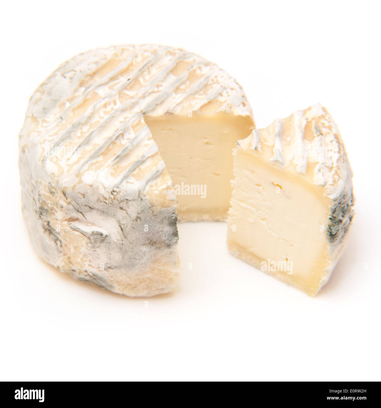 French goats cheese "crottin de chavignol" isolated on a white studio ...