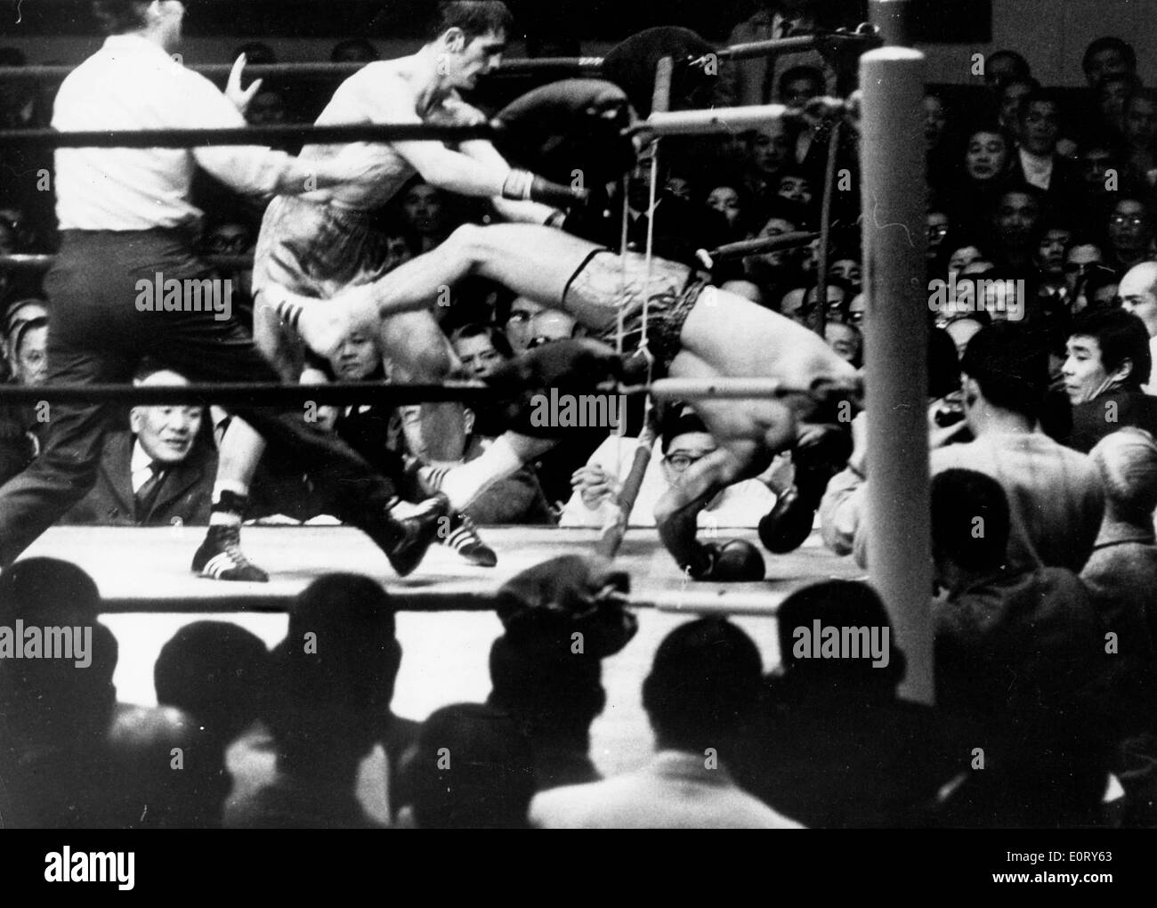 Boxing Match Audience Stock Photos & Boxing Match Audience Stock Images ...