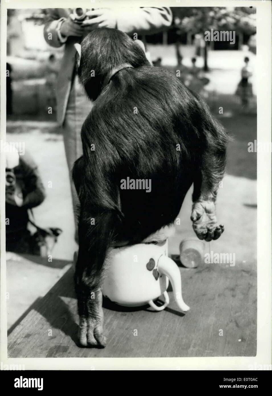 Chimps tea party hi-res stock photography and images - Alamy