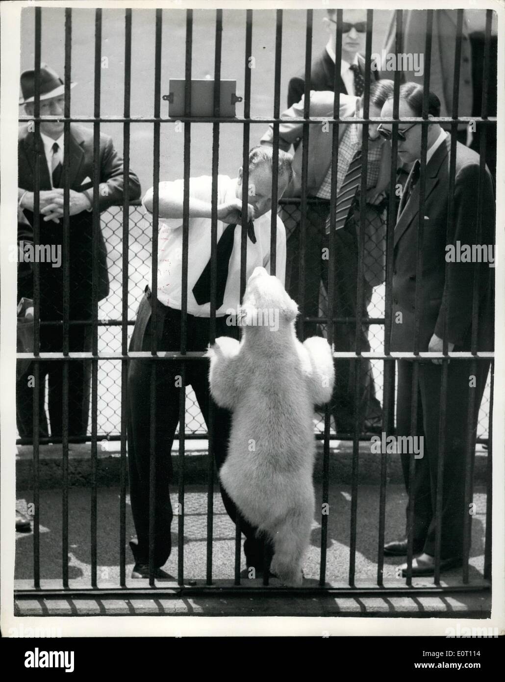 Jun. 06, 1960 - Polar bear cubs from Moscow - at London zoo. Two polar ...