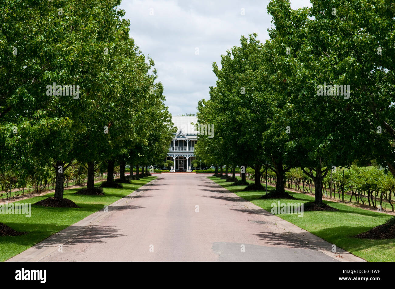 The colonial style hotel and tree lined drive at the Pepper Tree Winery ...