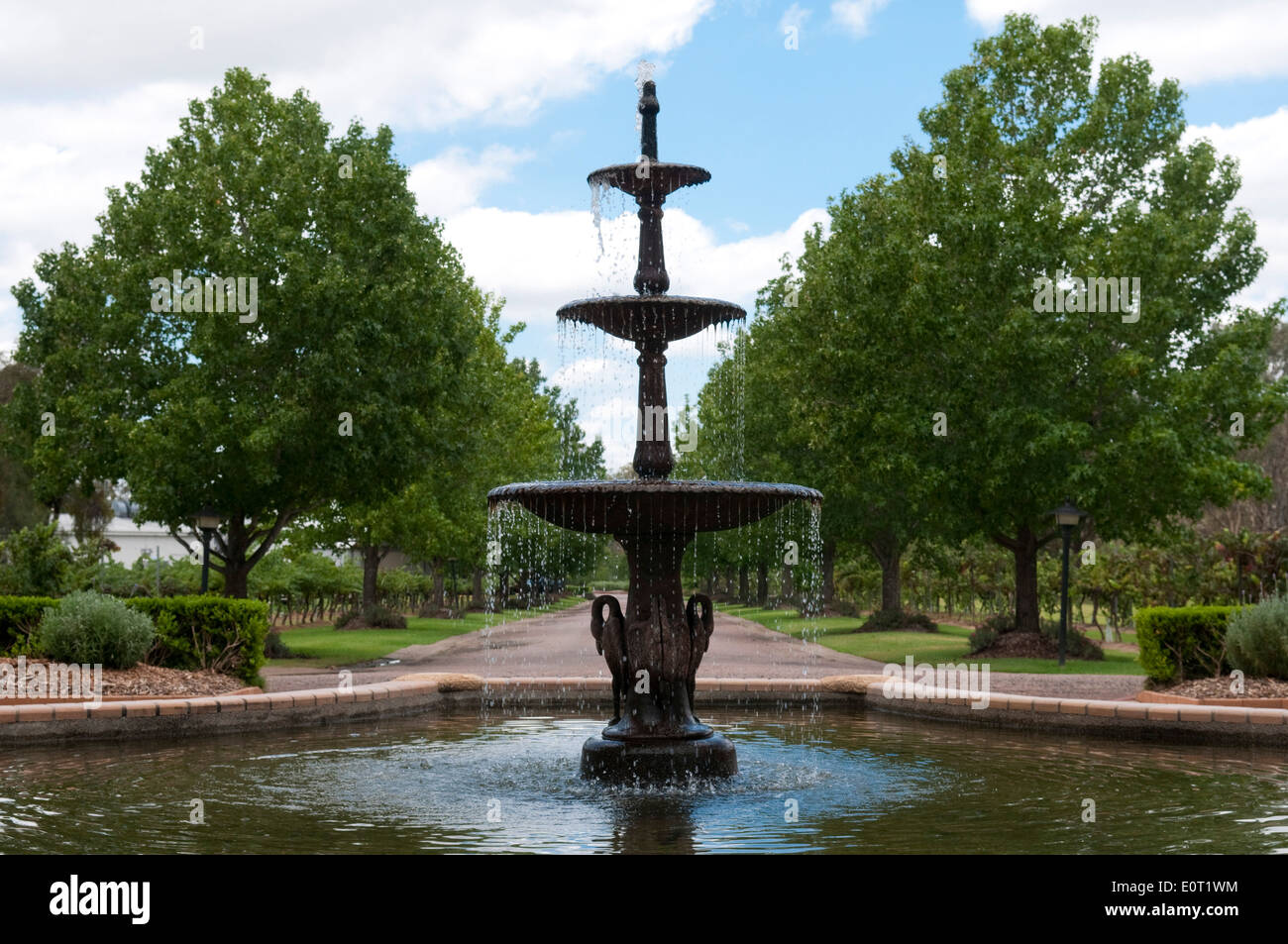 A fountain and tree lined drive at the Pepper Tree Winery in the Hunter ...