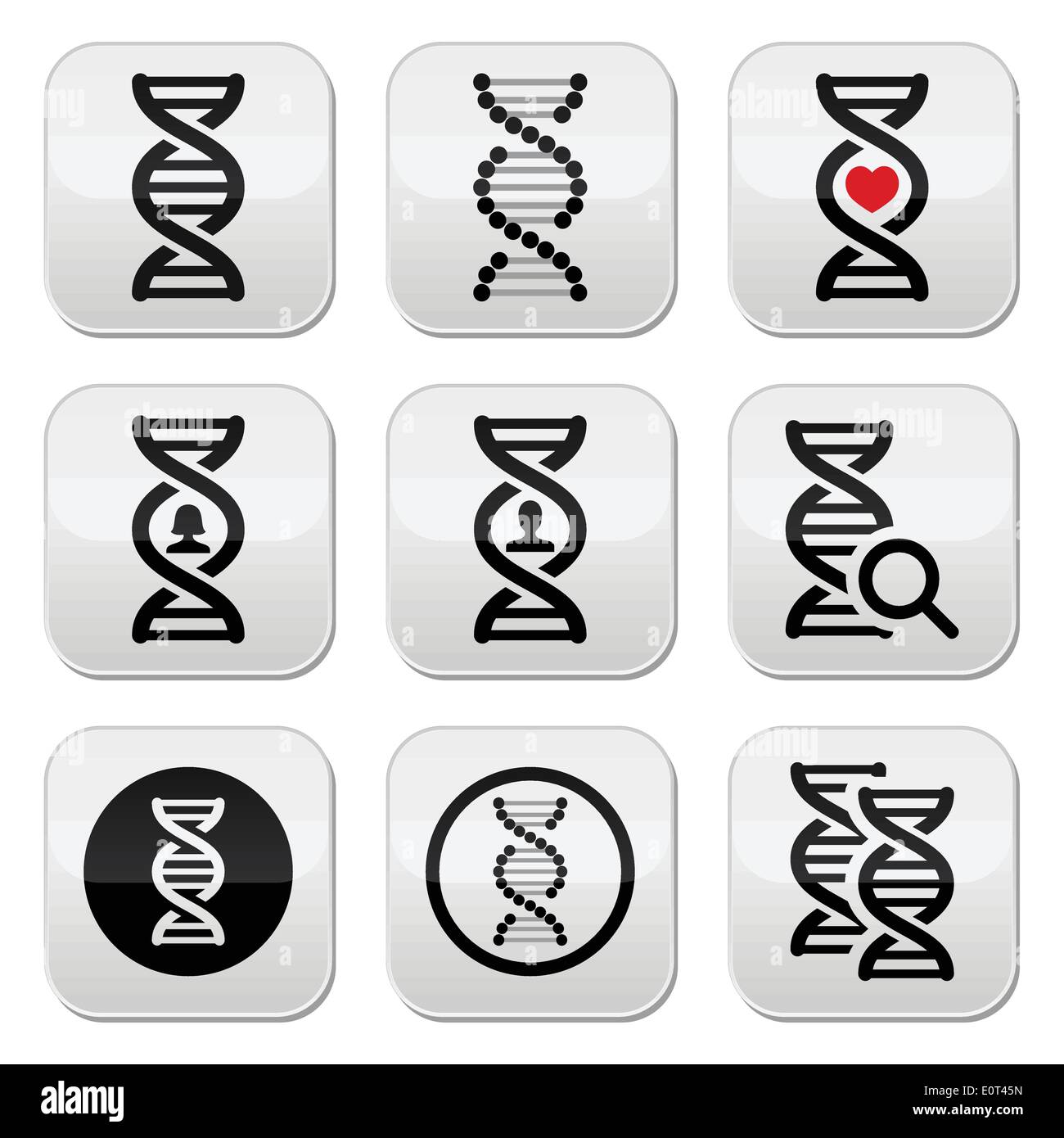 DNA, genetics vector buttons set Stock Vector Image & Art - Alamy