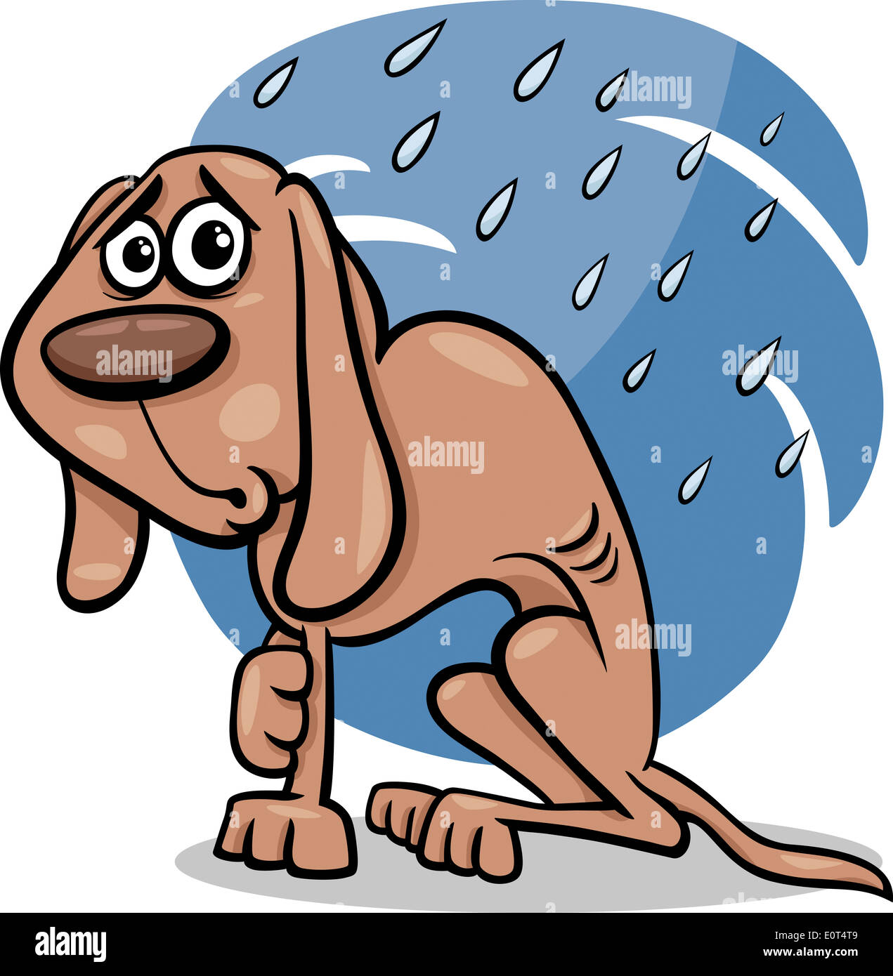 Sad Dogs In The Rain