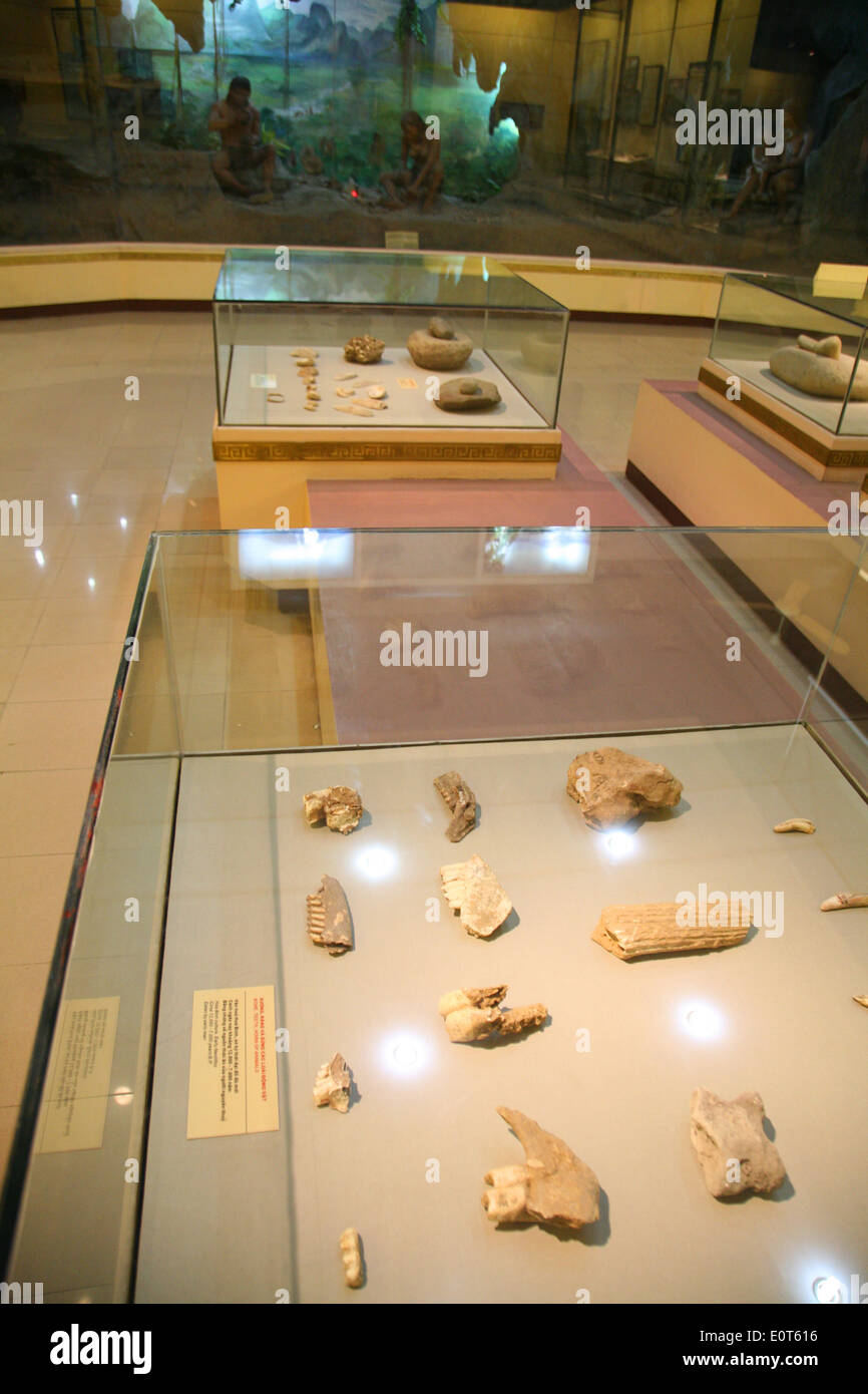 Stone age artefacts on display in the National History Museum in Hanoi ...