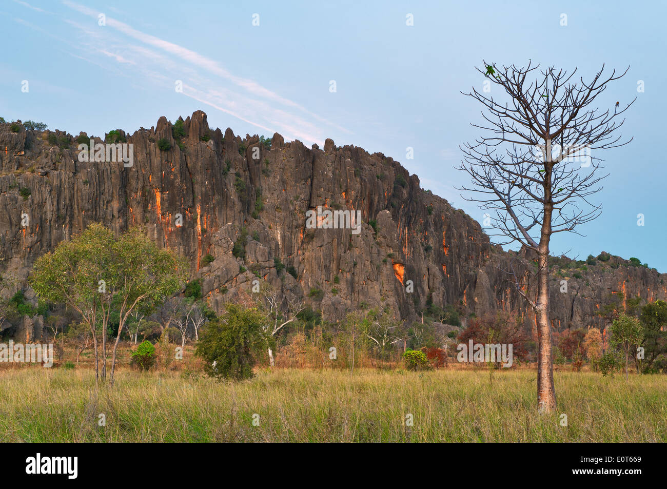 Napier Range in the Kimberley, part of the Devonian Reef Complex Stock ...