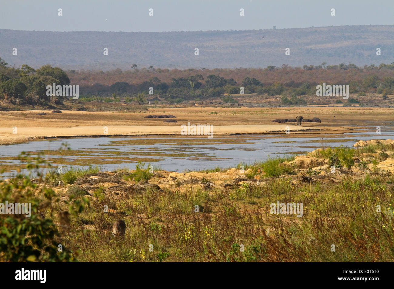 Letaba river hi-res stock photography and images - Alamy