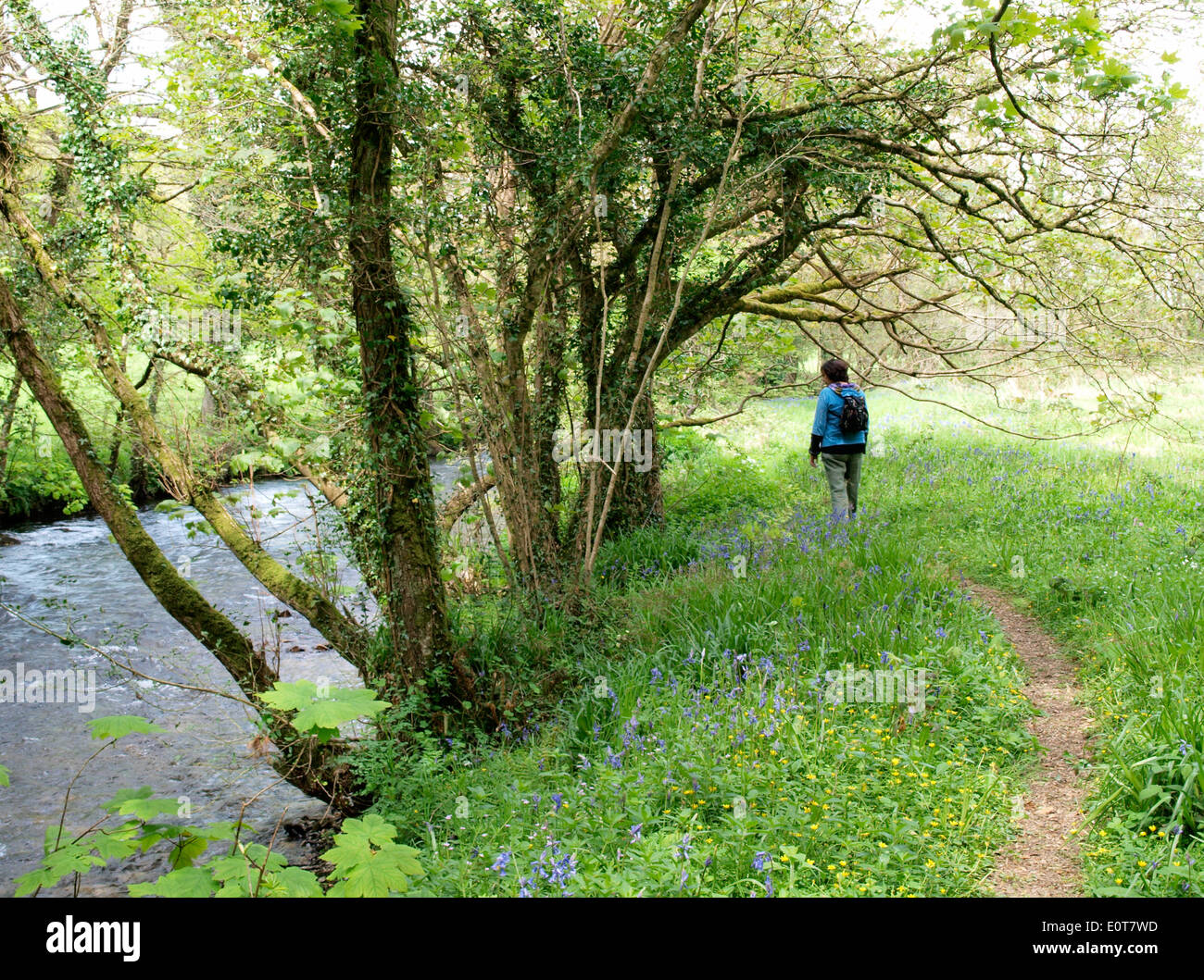 Path along a stream hi-res stock photography and images - Alamy