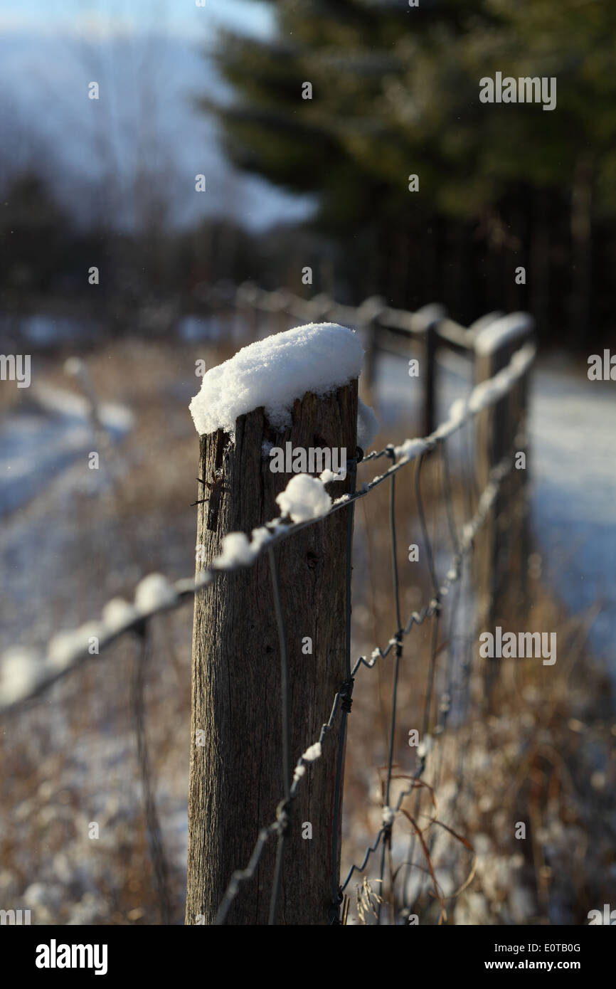 Heap of snow on the fence post at Bruce Pit Park Nepean Ontario Canada ...
