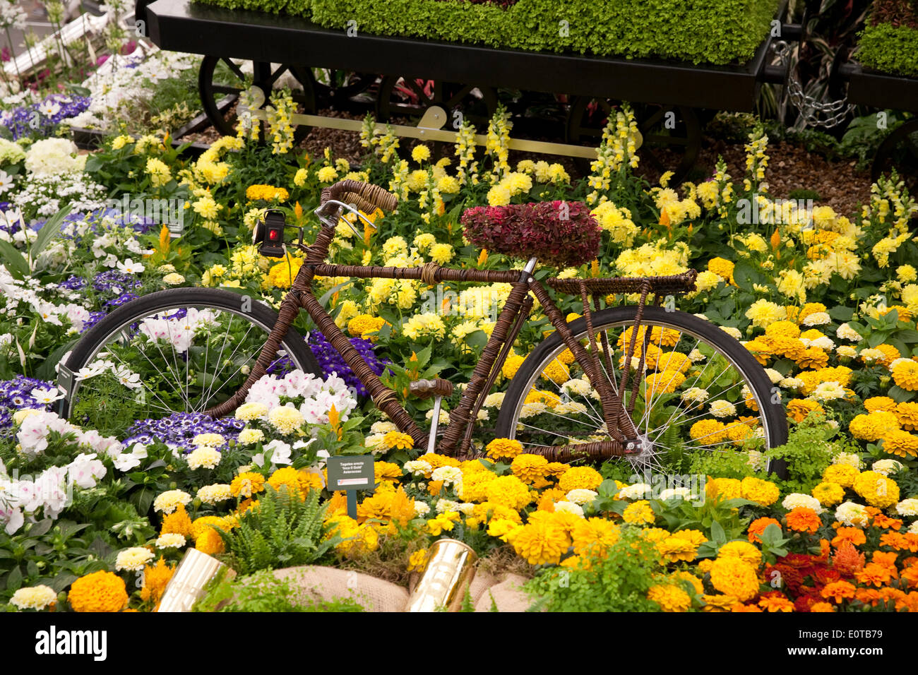 Chelsea, UK. 19th May, 2014. City of Birmingham stand in a marquee at ...