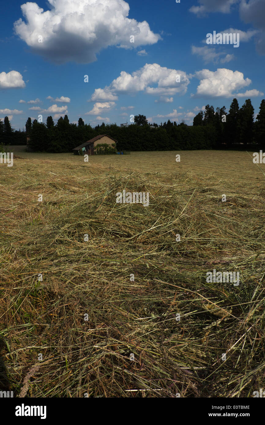 Lowland plains hi-res stock photography and images - Alamy