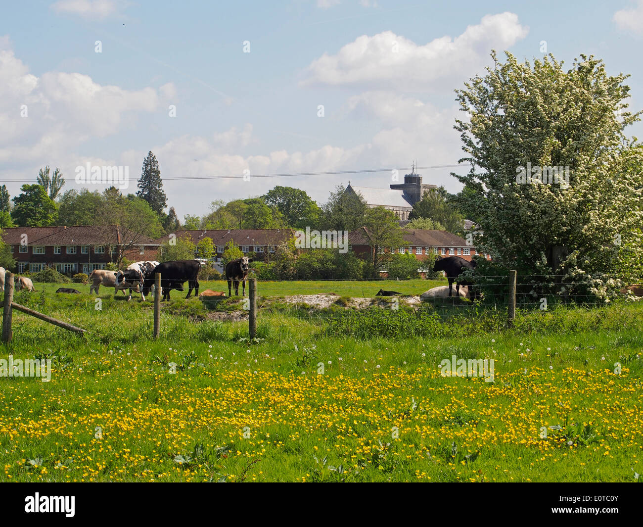 Flood plain hi-res stock photography and images - Alamy