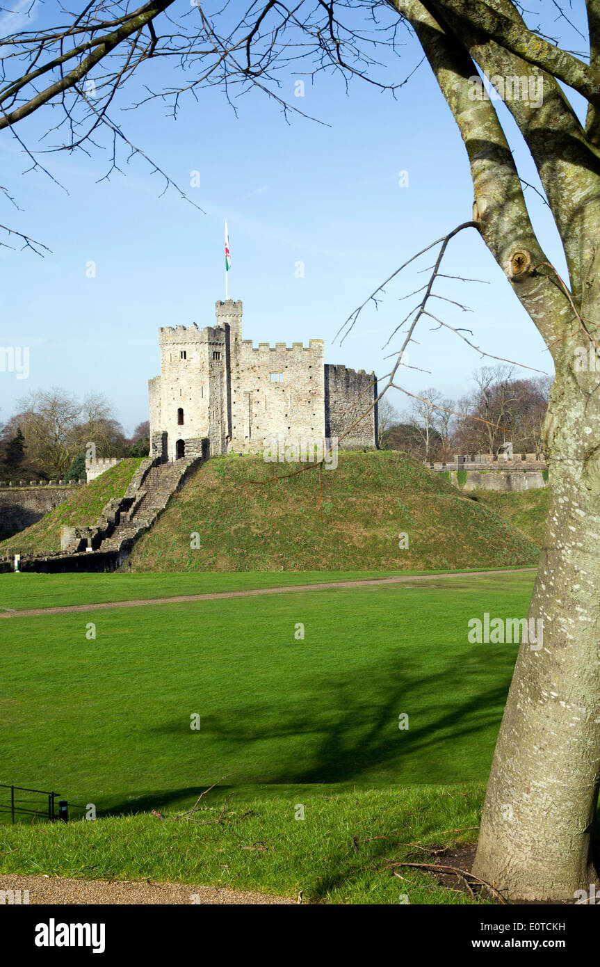 Norman tower keep hi-res stock photography and images - Alamy