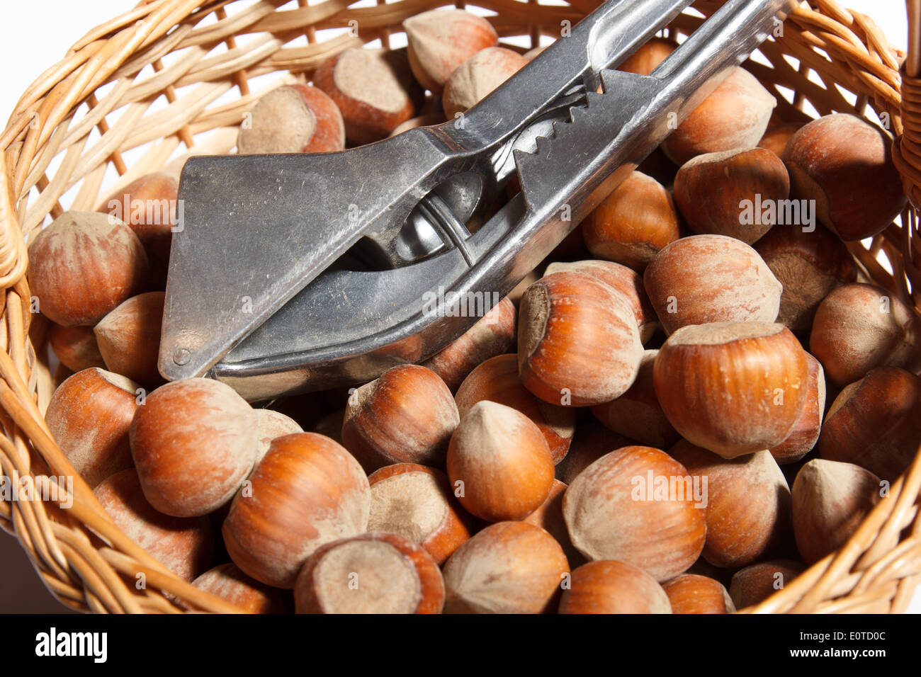 Hazelnut shell hi-res stock photography and images - Alamy