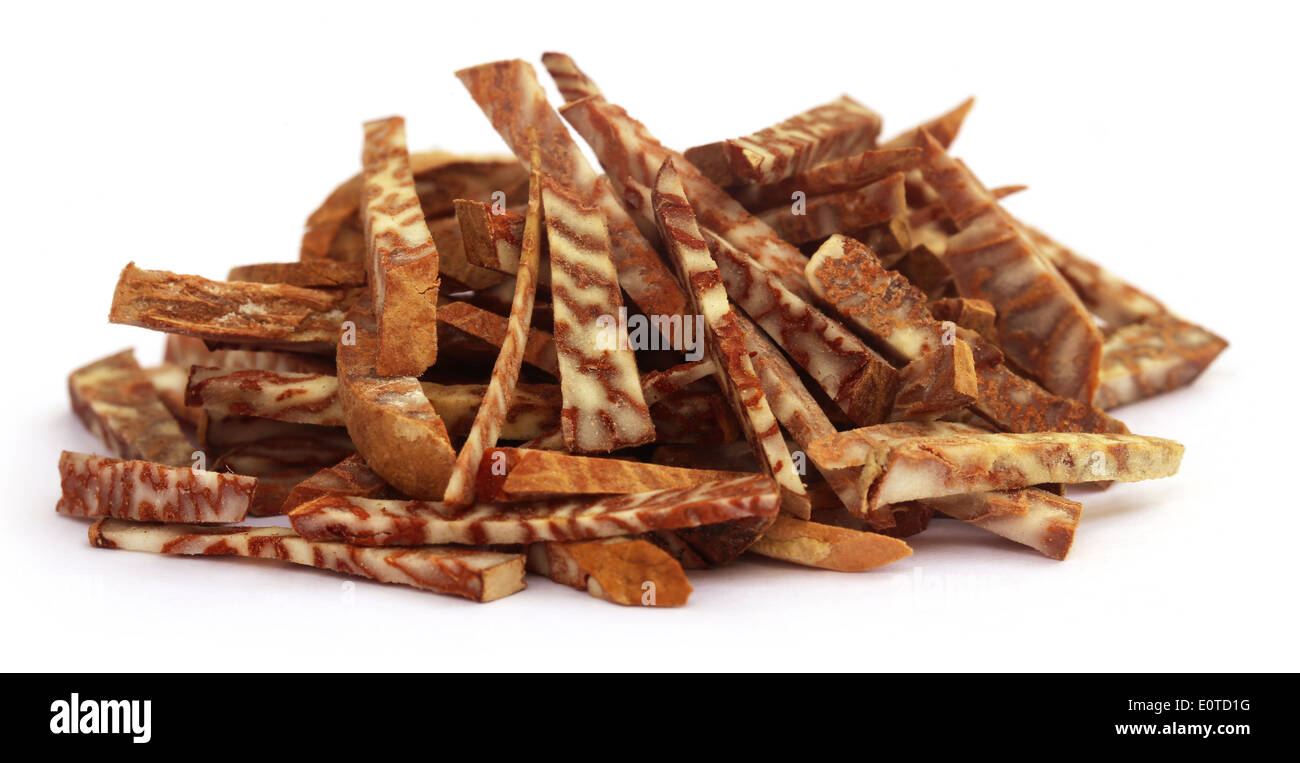 Betel nuts thailand asia hi-res stock photography and images - Alamy