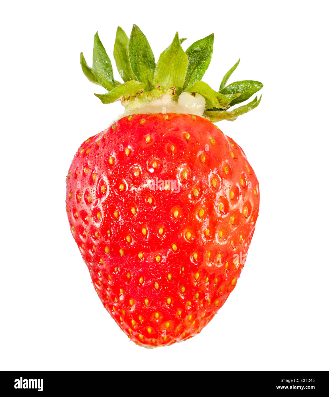 Strawberry close up hi-res stock photography and images - Alamy