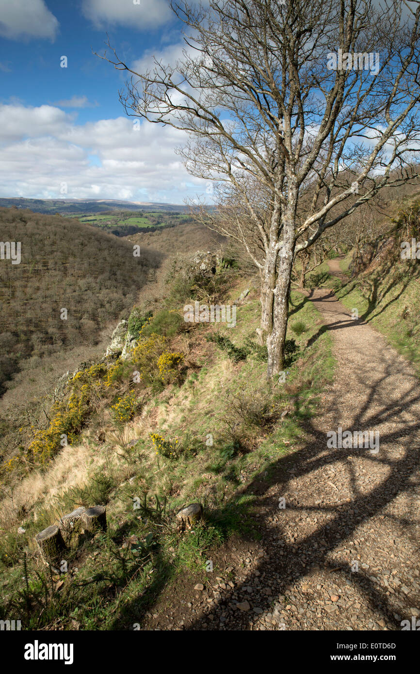 Teign Valley; Castle Drogo; Devon; UK Stock Photo - Alamy