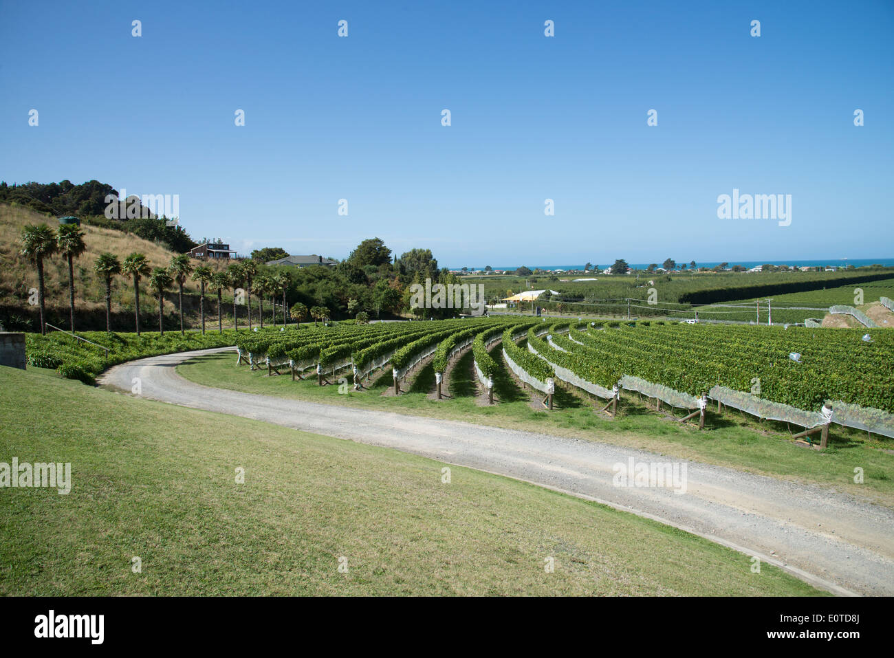 Esk Valley wine estate Bay View Napier New Zealand The Hawkes Bay ...