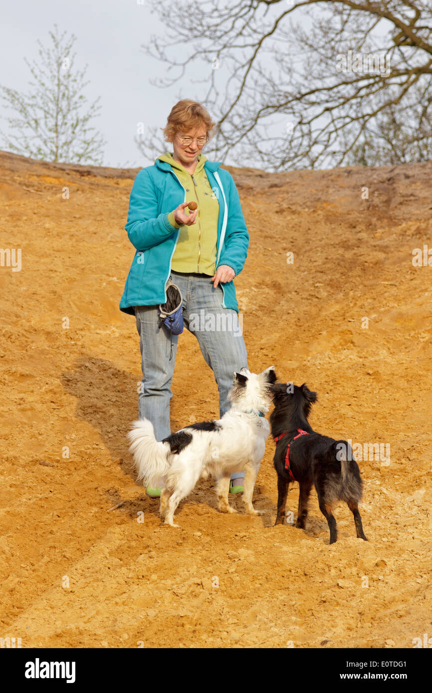 woman training her dogs Stock Photo - Alamy