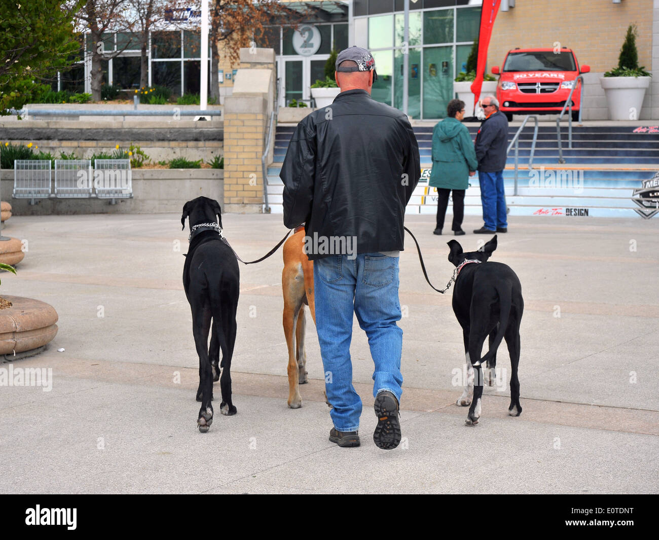Huge man walking hi-res stock photography and images - Alamy