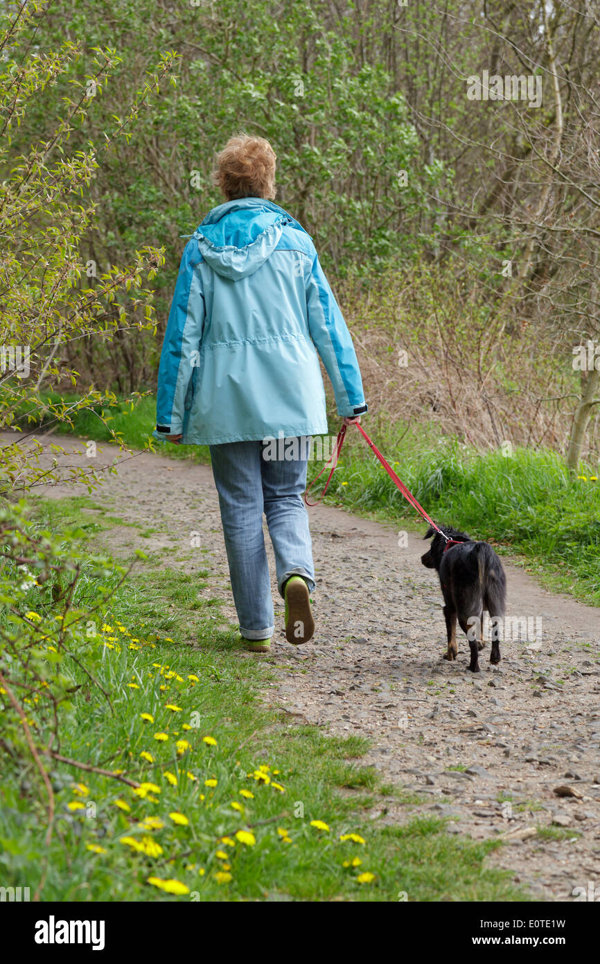 Person walking small dog hi-res stock photography and images - Alamy