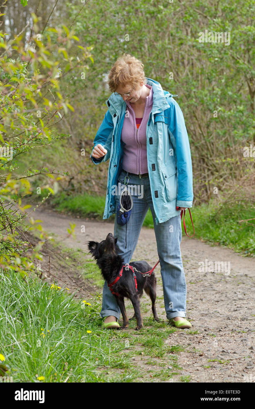 woman training her dog Stock Photo - Alamy