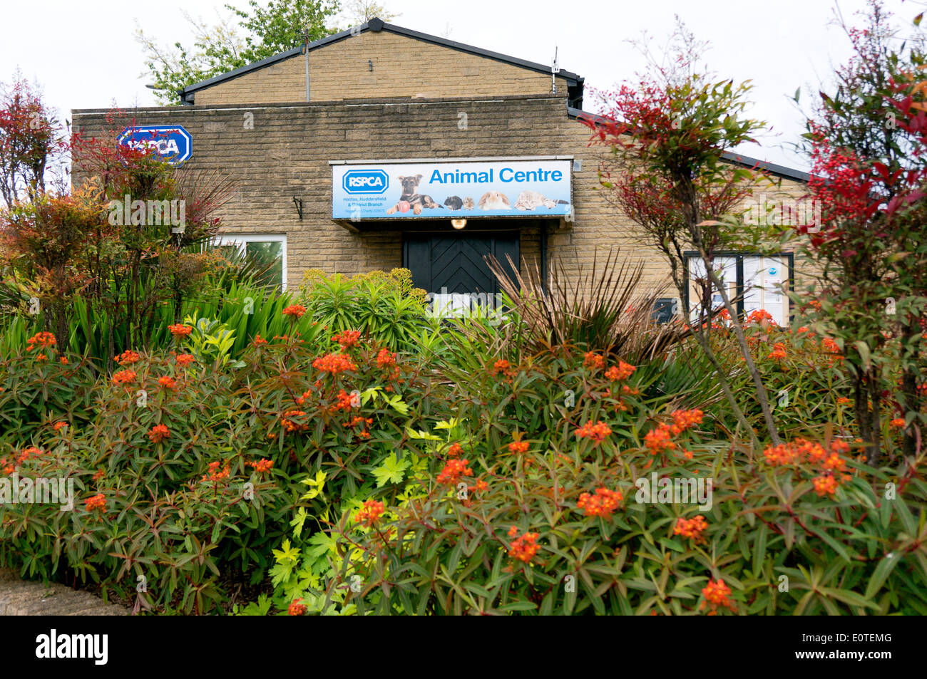 Flowers and bushes outside the RSPCA Animal Centre, Halifax, West ...