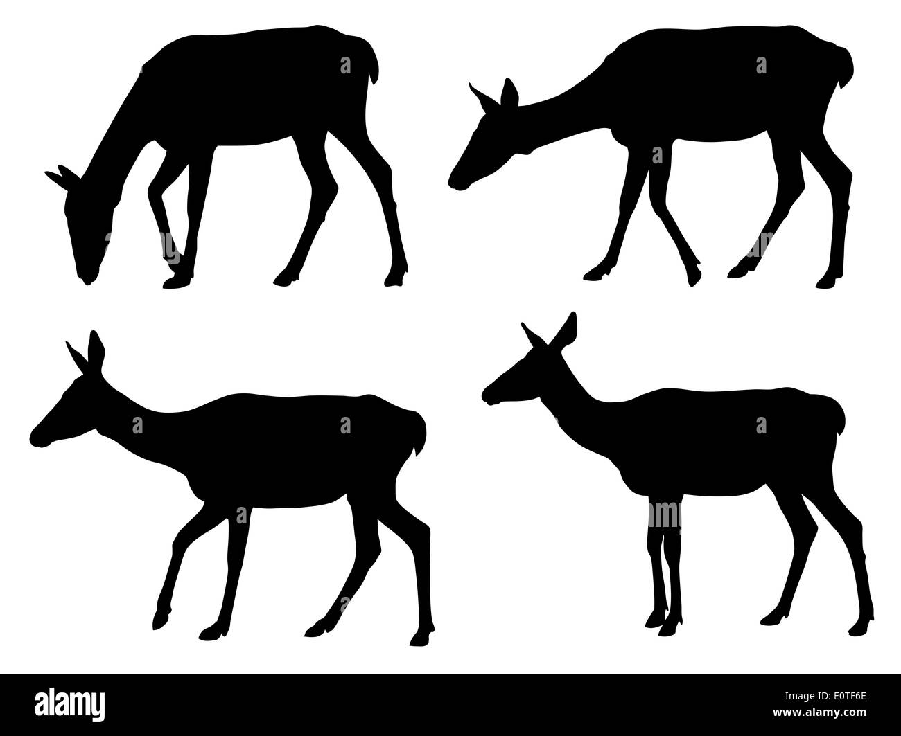 Deers stag Cut Out Stock Images & Pictures - Alamy