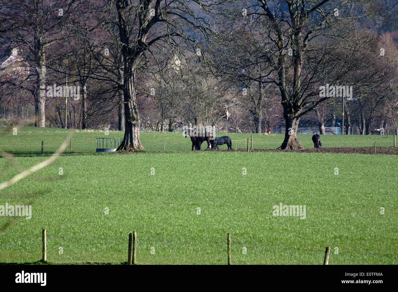 Upper watermeetings farm hi-res stock photography and images - Alamy