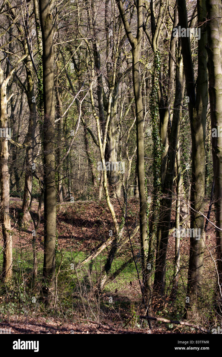 Romiley hi-res stock photography and images - Alamy