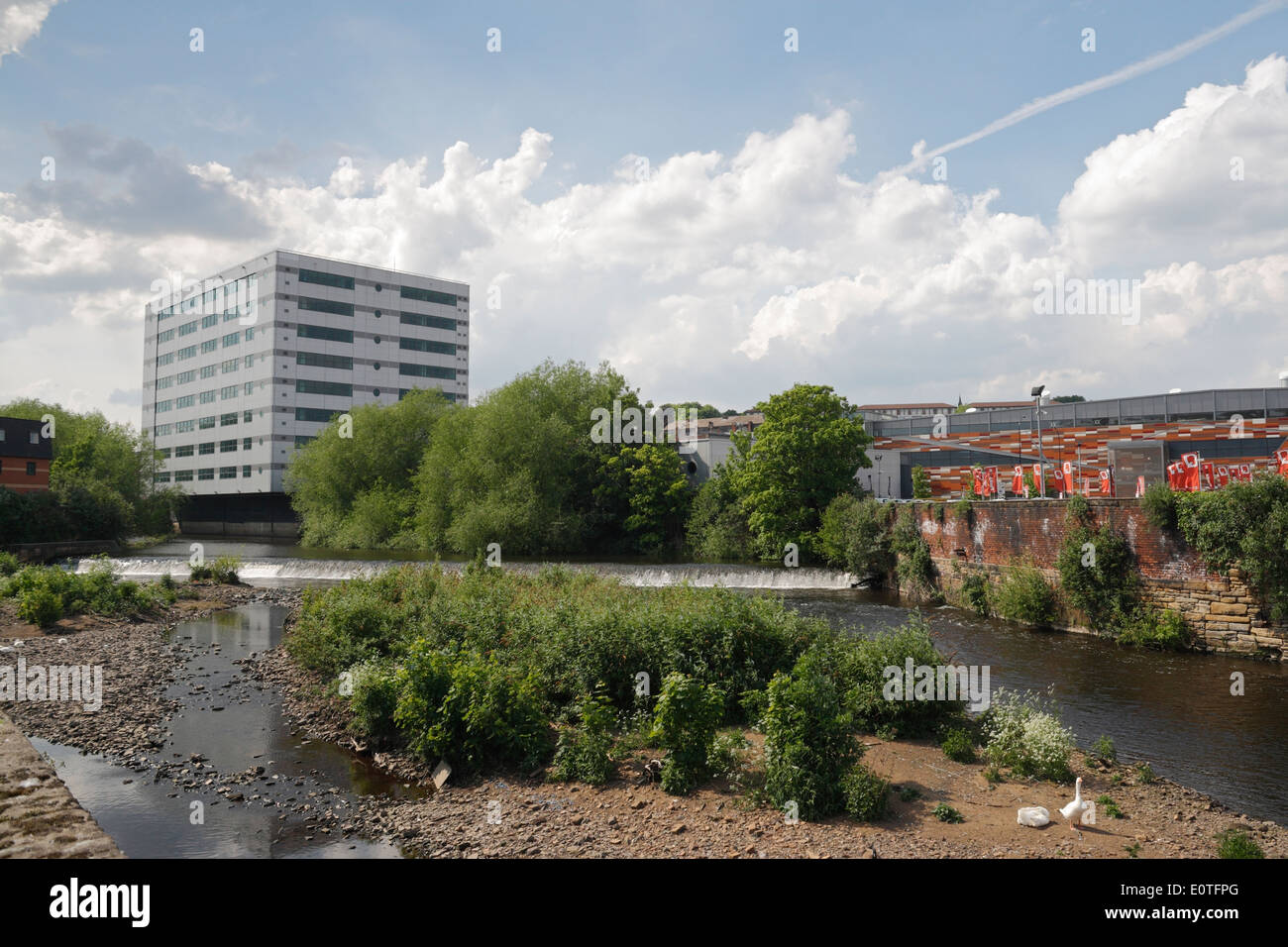 River Don Sheffield along Five Weirs walk at Walk Mill Weir Stock Photo ...