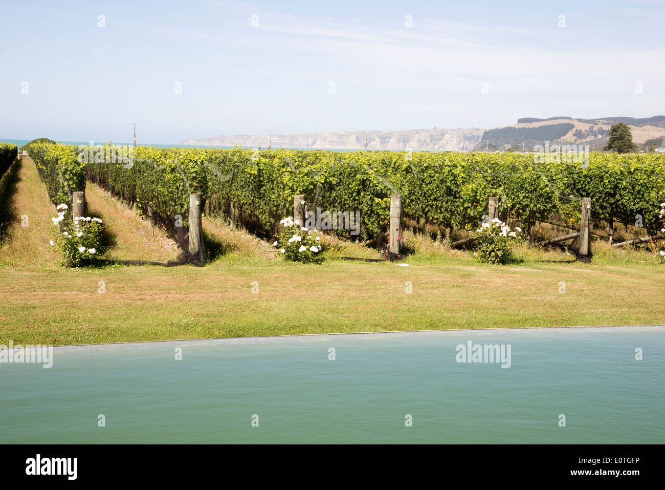 Te awanga new zealand hi-res stock photography and images - Alamy