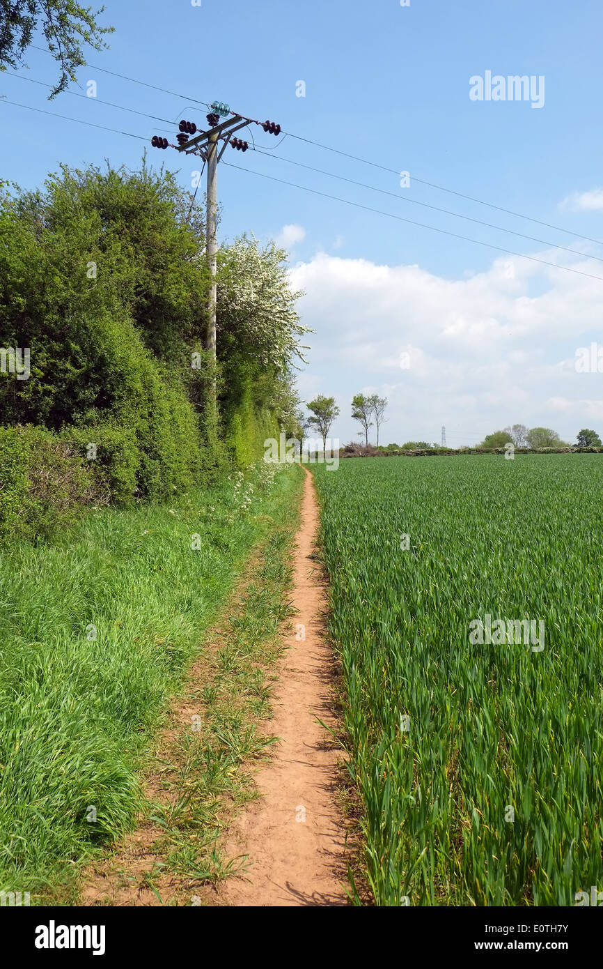 Well worn public footpath in South Gloucestershire, England, May 2014 ...