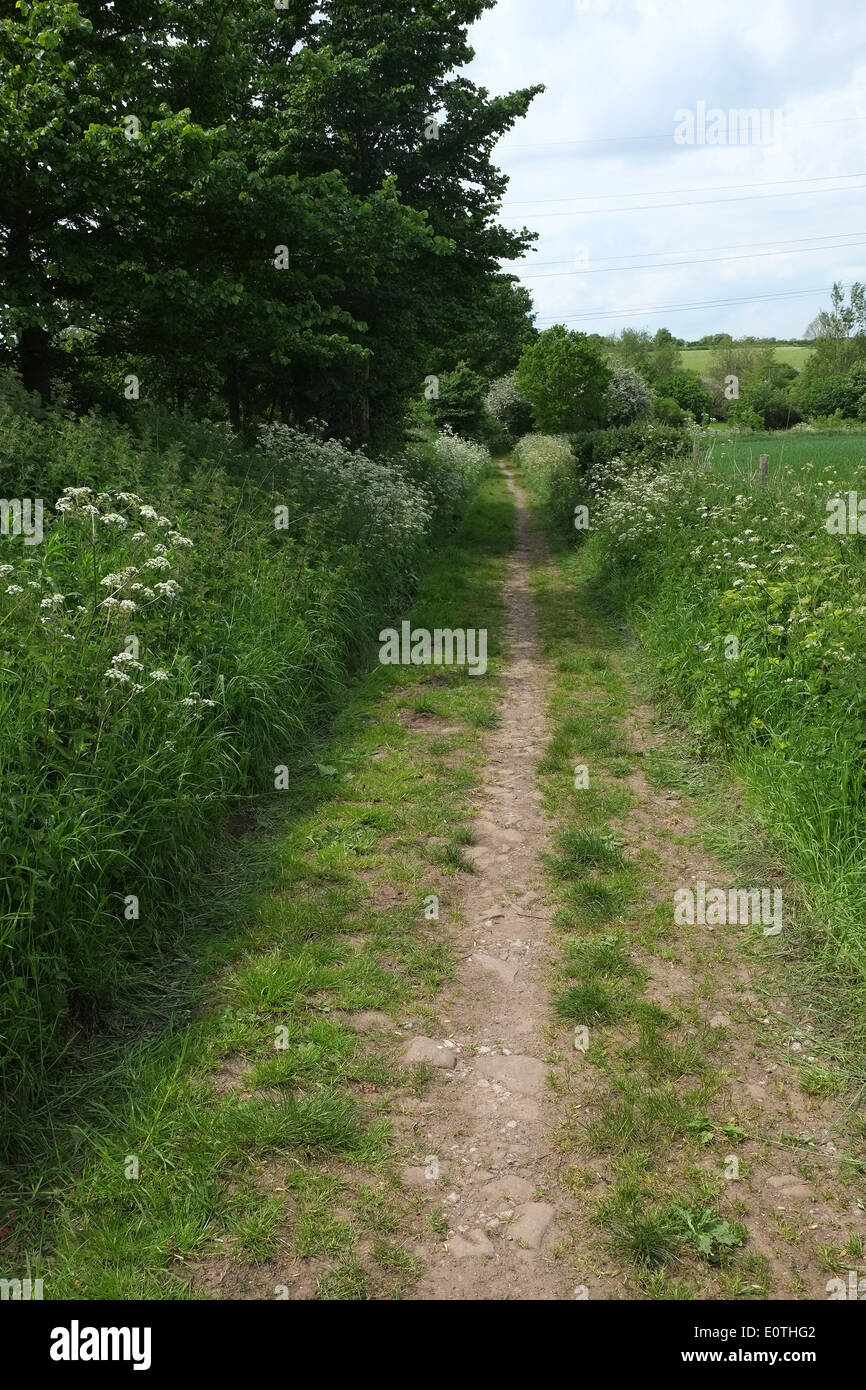 Well worn public footpath in South Gloucestershire, England, May 2014 ...