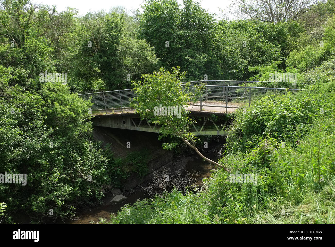 Small metal bridge in a small English nature reserve over a river. 19 ...