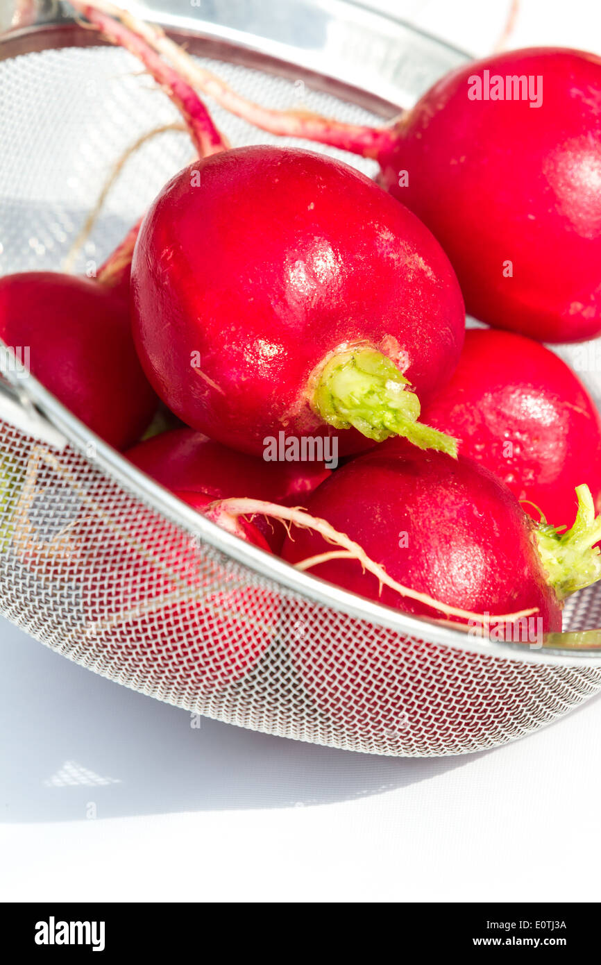fresh clean red radishes in a strainer over a white background Stock ...