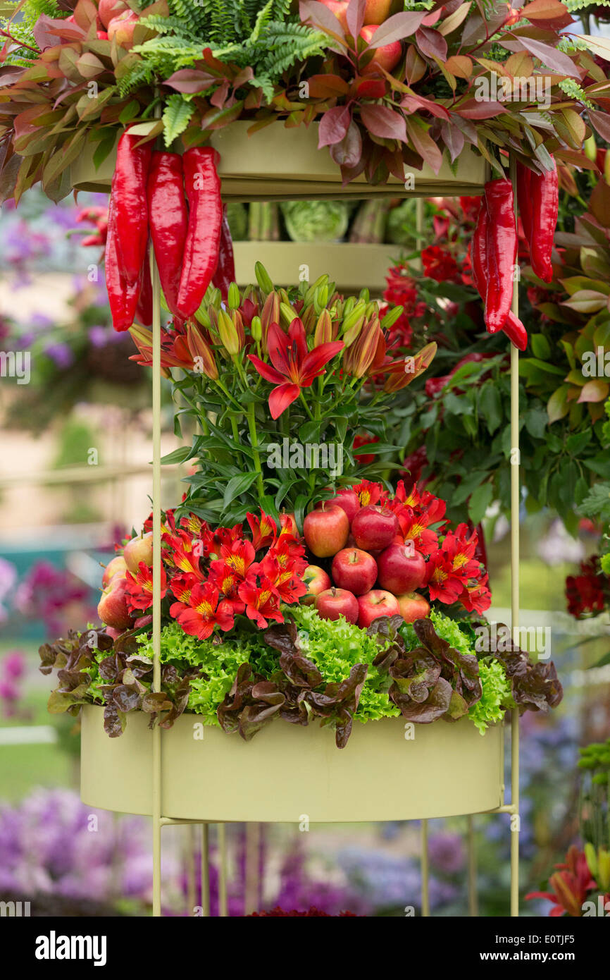 Display fruit vegetables horticultural show hi-res stock photography ...