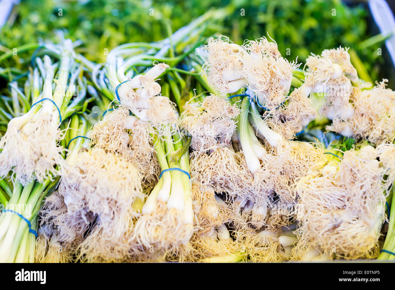 Fresh produce from the local farms at the farmers market Stock Photo ...