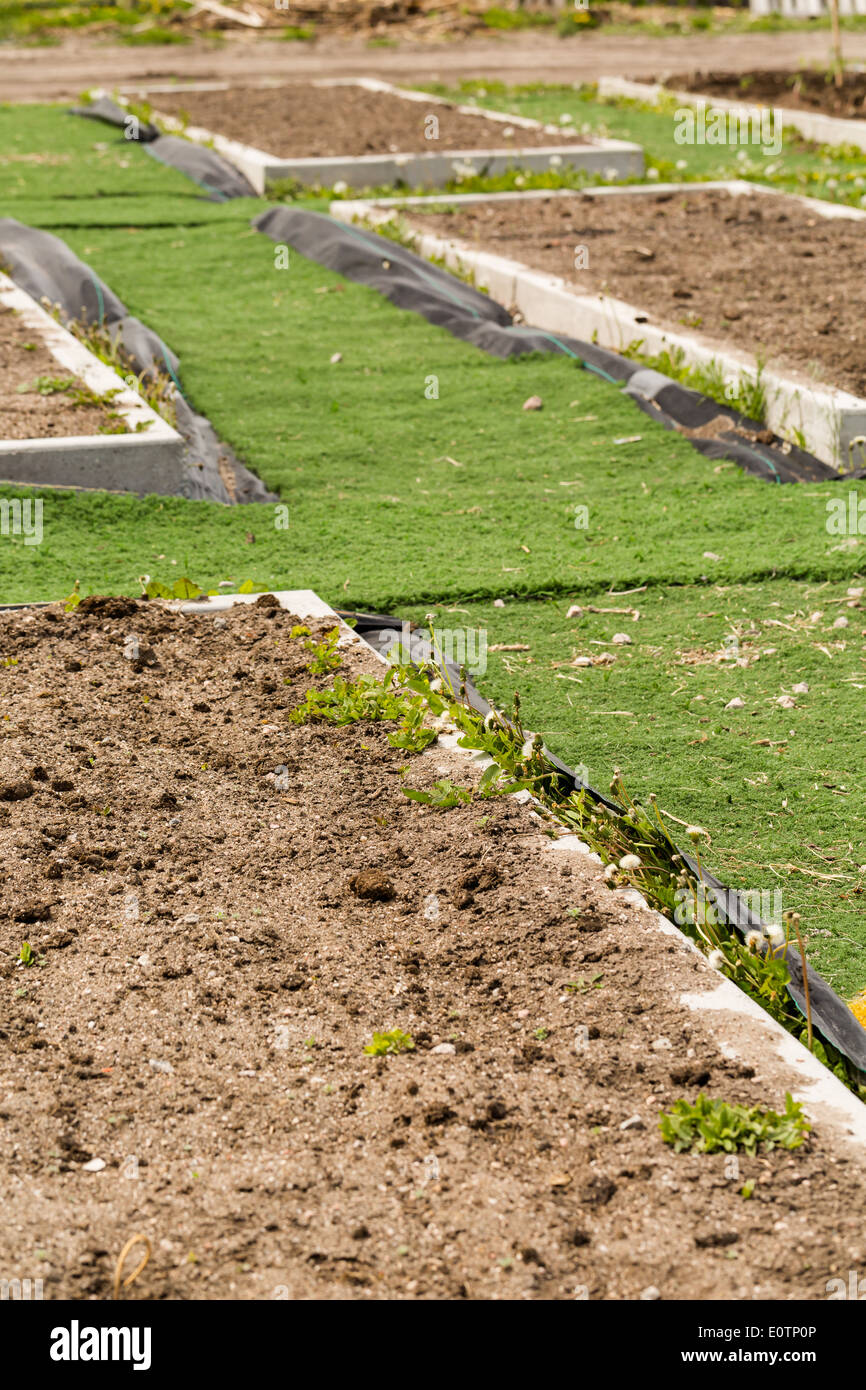 Early planting season at the local community garden Stock Photo - Alamy