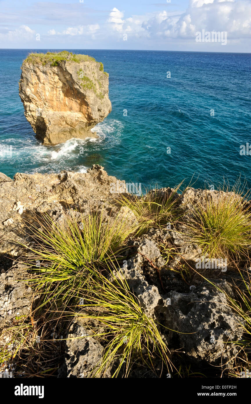 The Playa Grande, North Coast of The Dominican Republic Stock Photo - Alamy