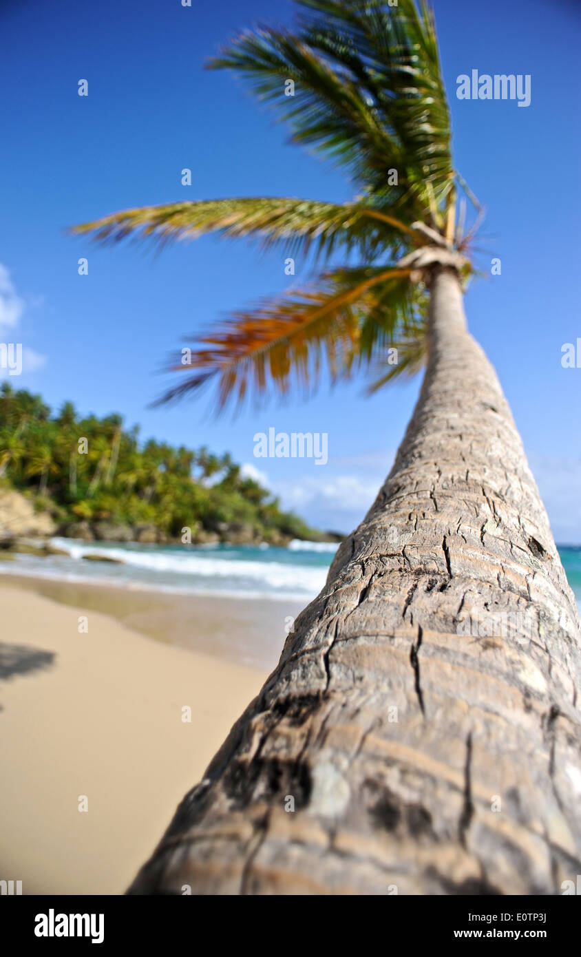 The Playa Grande, North Coast of The Dominican Republic Stock Photo - Alamy