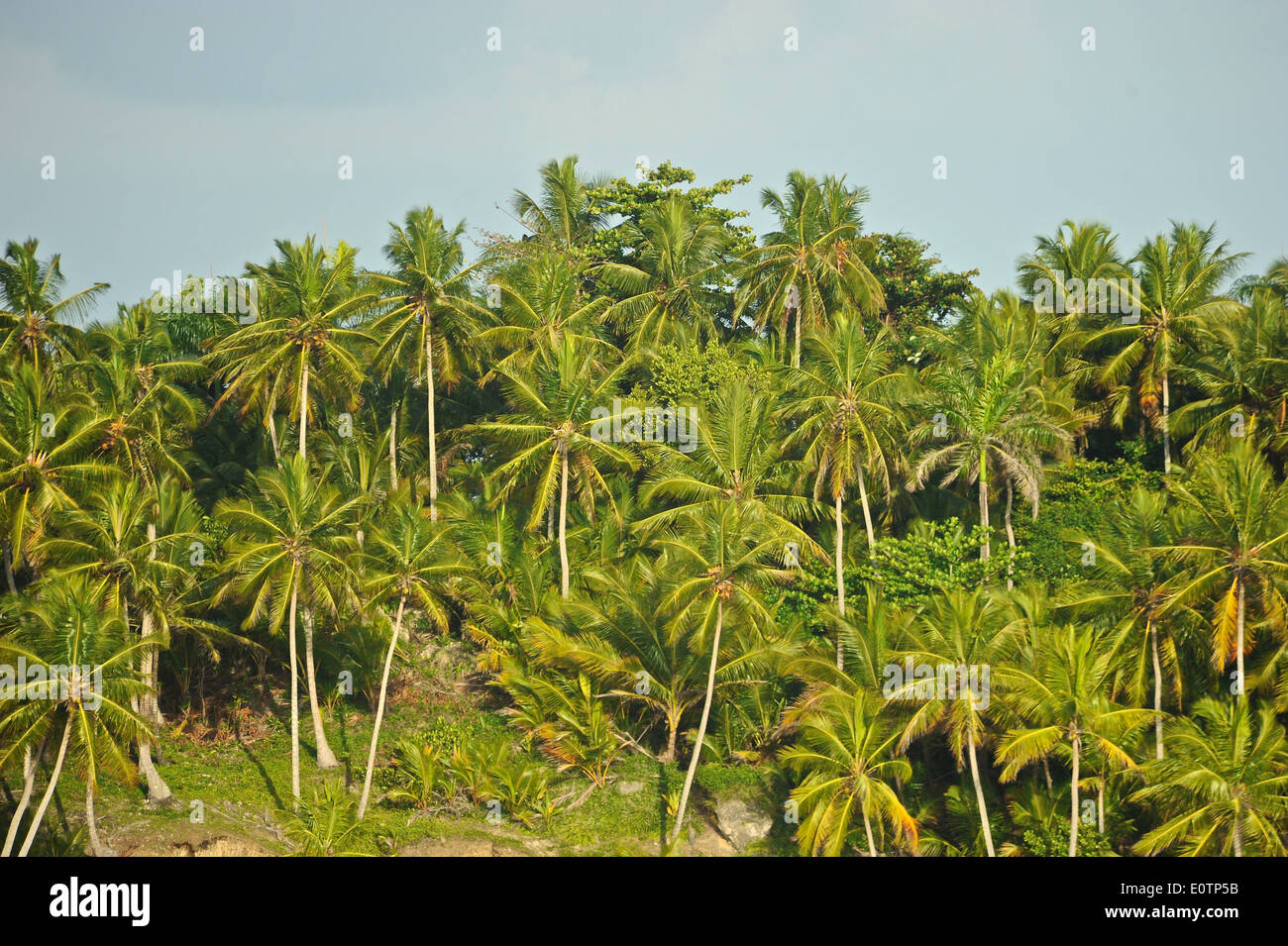 The Playa Grande, North Coast of The Dominican Republic Stock Photo - Alamy