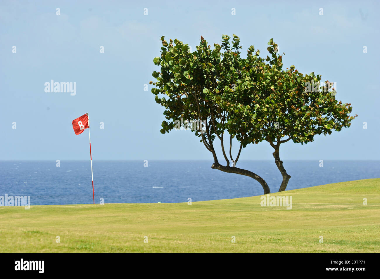 Robert trent jones golf hi-res stock photography and images - Alamy