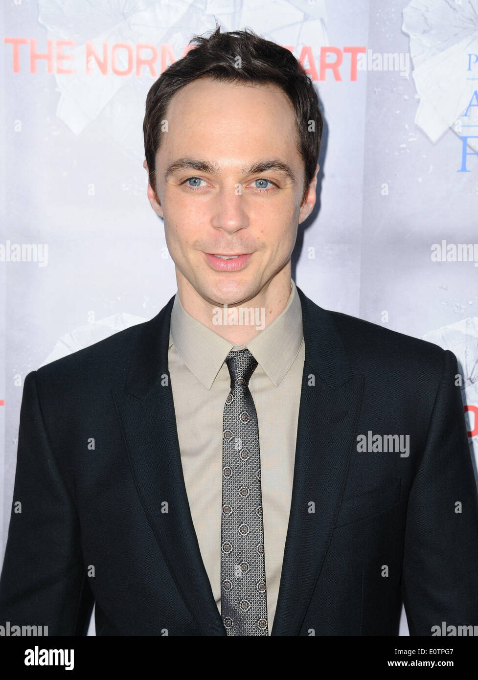 Los Angeles, California, USA. 19th May, 2014. Jim Parsons attending the ...