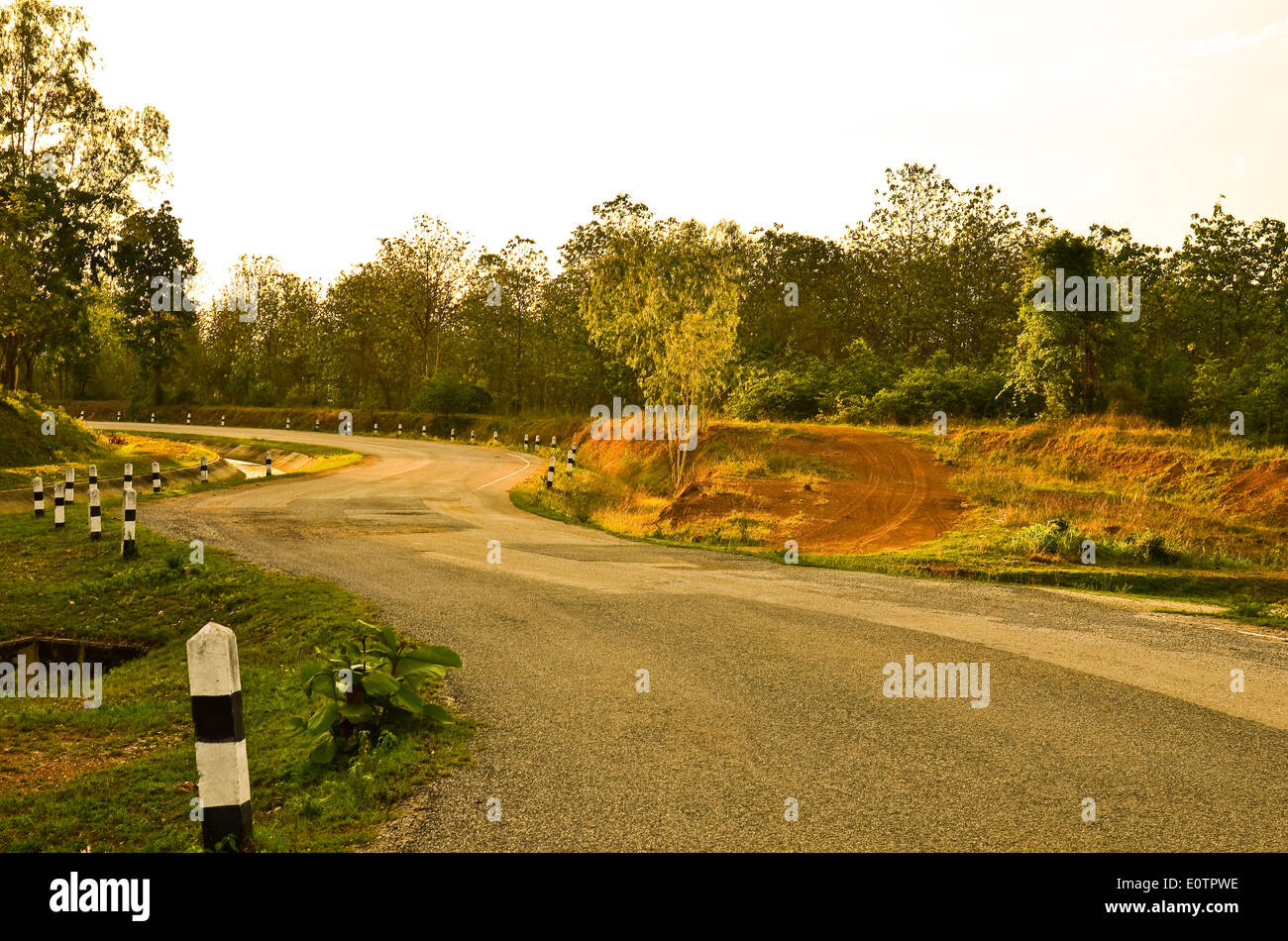 Winding Forest Path Stock Photo - Alamy