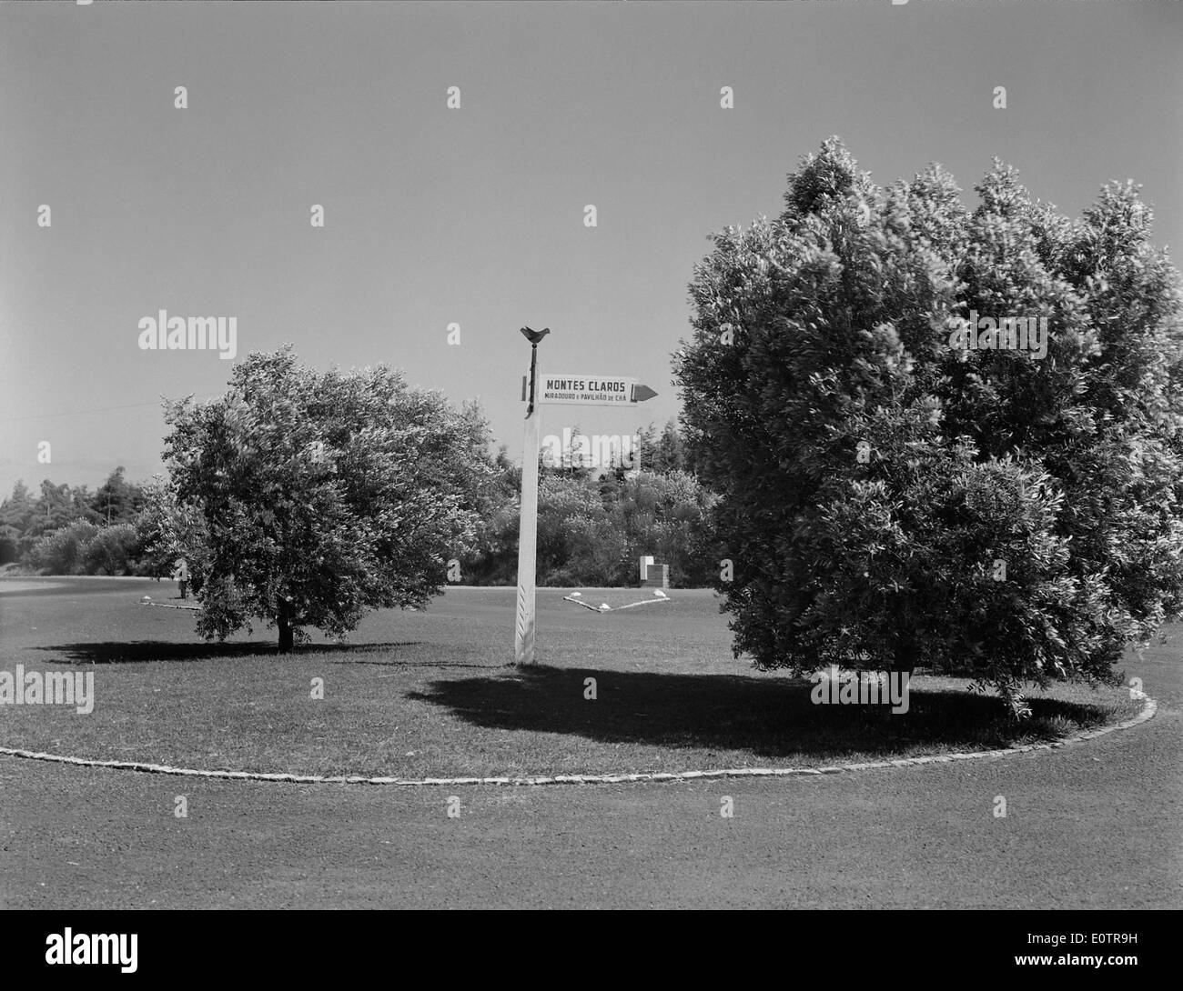 Urban natural spaces Black and White Stock Photos & Images - Alamy