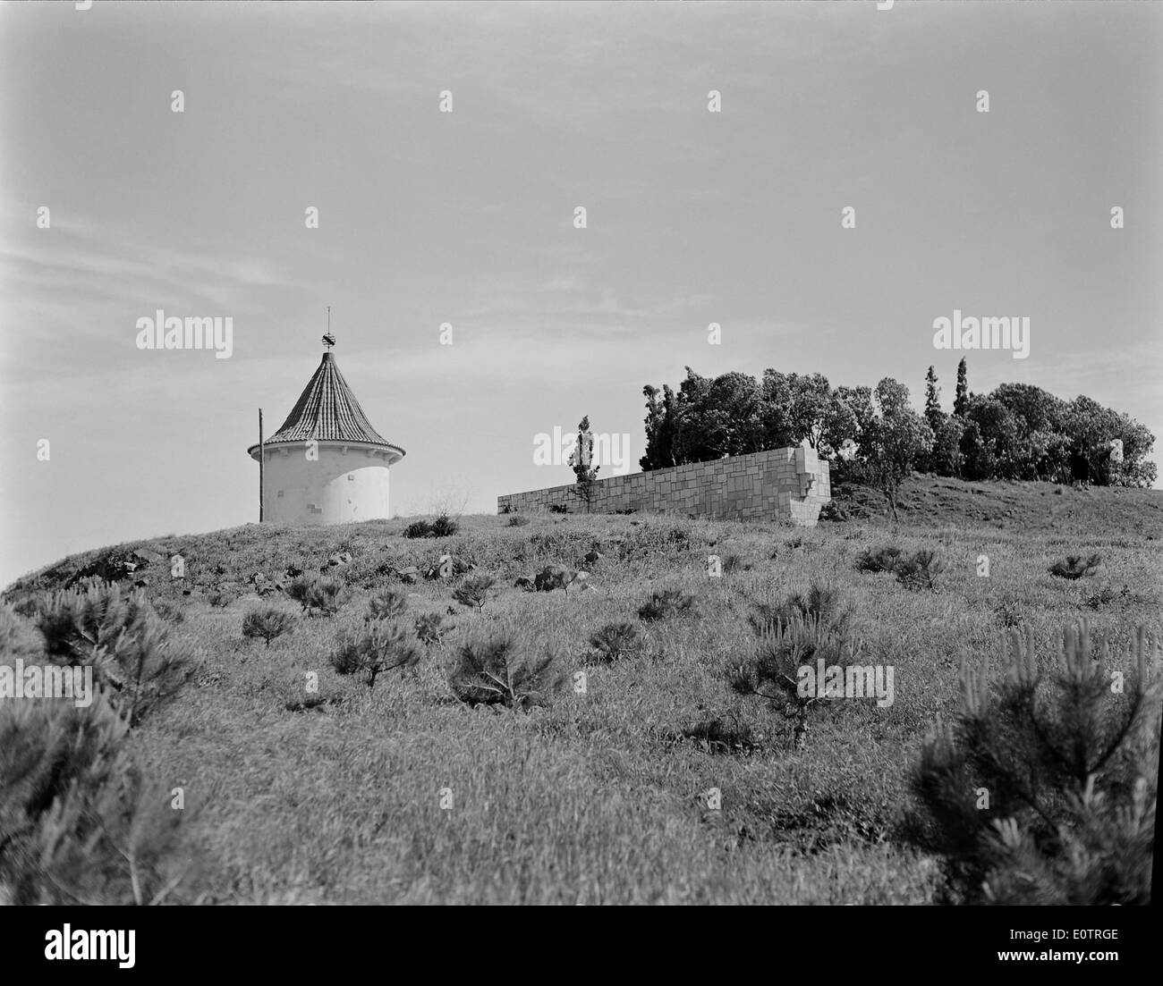 Elevated green Black and White Stock Photos & Images - Alamy